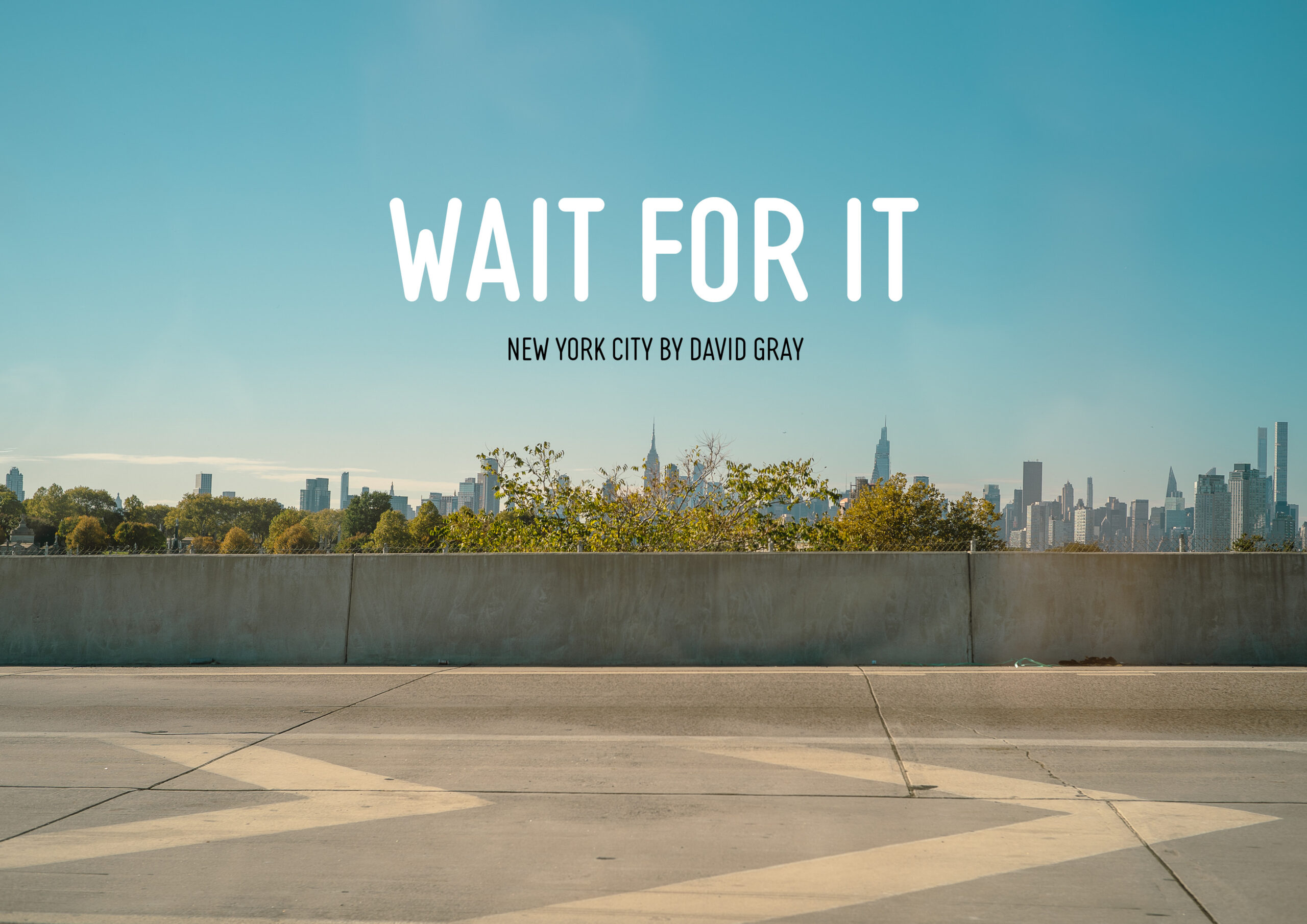 Wait For It - onegrandbooks.com